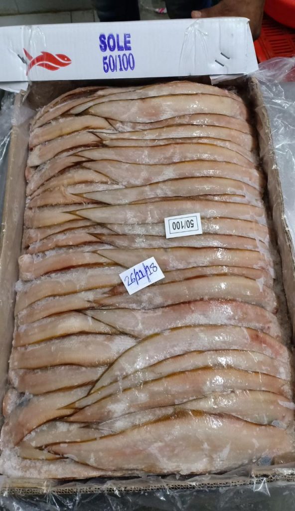 SOLE FISH – Globus Exports